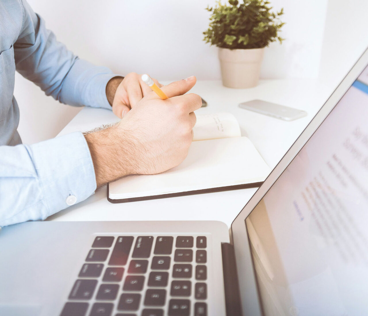 Training | Brightmark